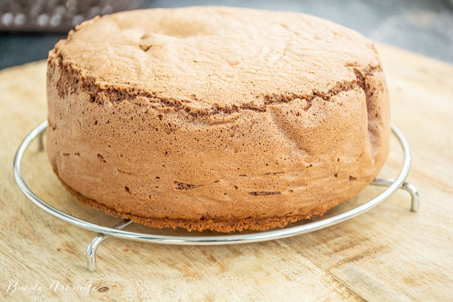 Blat de tort pentru începători - pandișpan cu cacao | Bucate Aromate