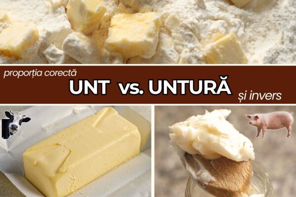 Cum Să Înlocuiești Untul cu Untură și Invers – Tot ce Trebuie Să Știi ...